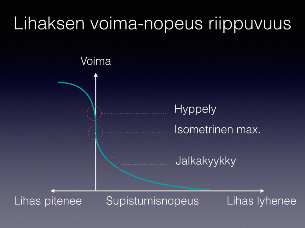 Tärkein oppitunti voima-nopeussuhteesta - KK-Valmennus
